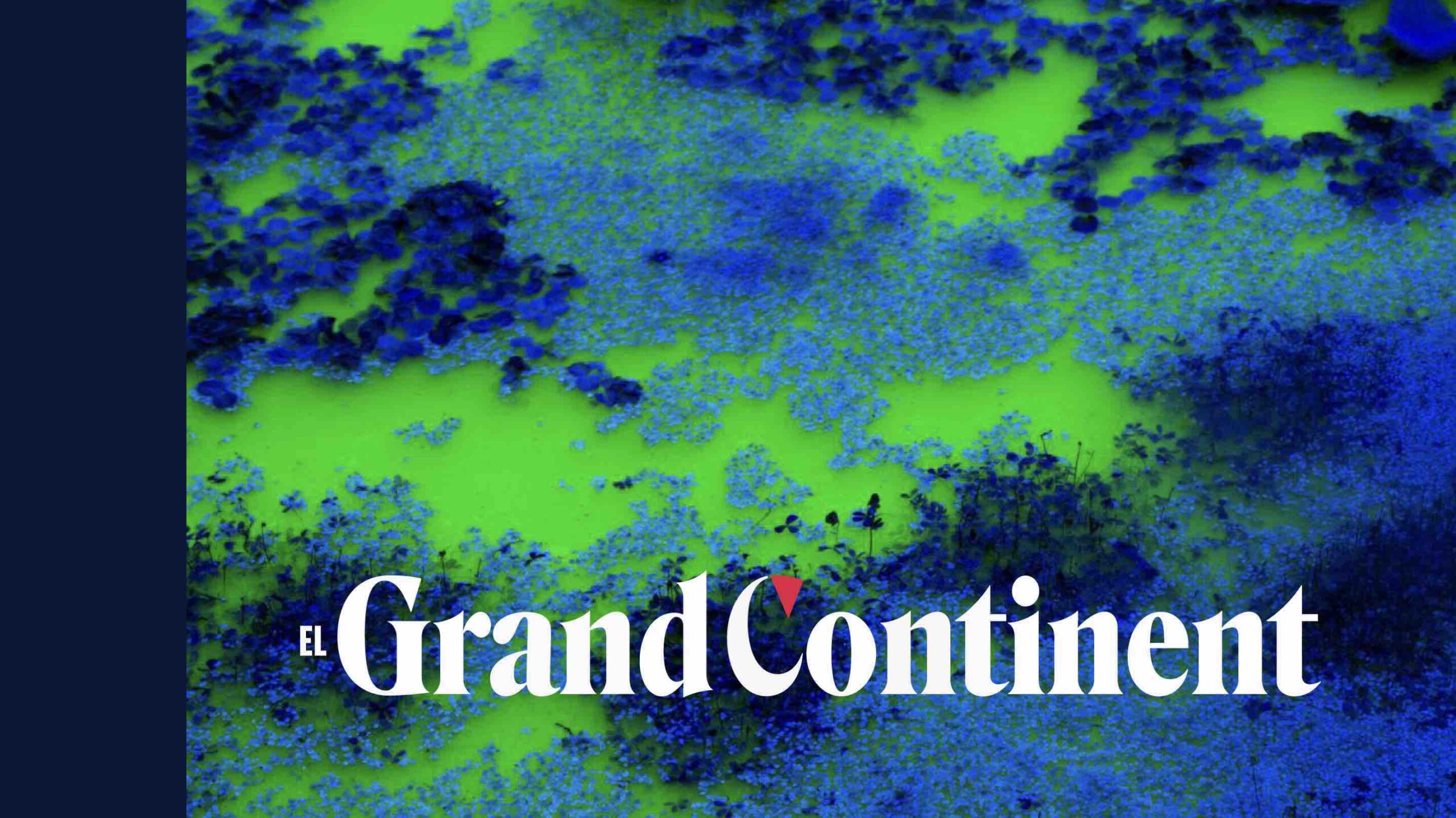 La arquitectura como arte de la inmersión - El Grand Continent