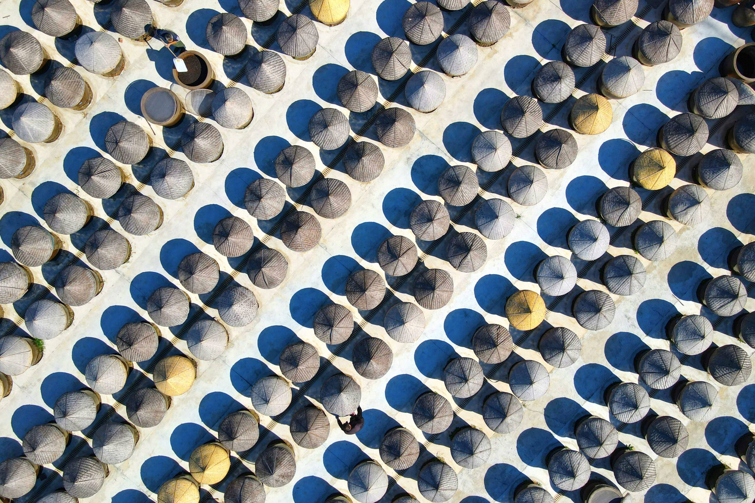 La política demográfica china vista por el sociólogo Sun Liping - El ...