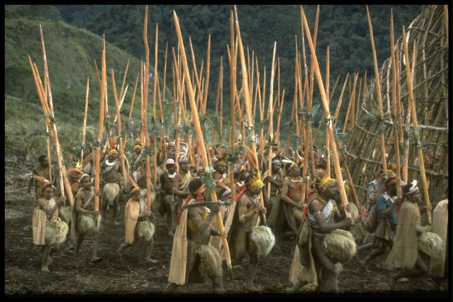 Espaces domestiques et villageois chez les Baruya | Le Grand Continent