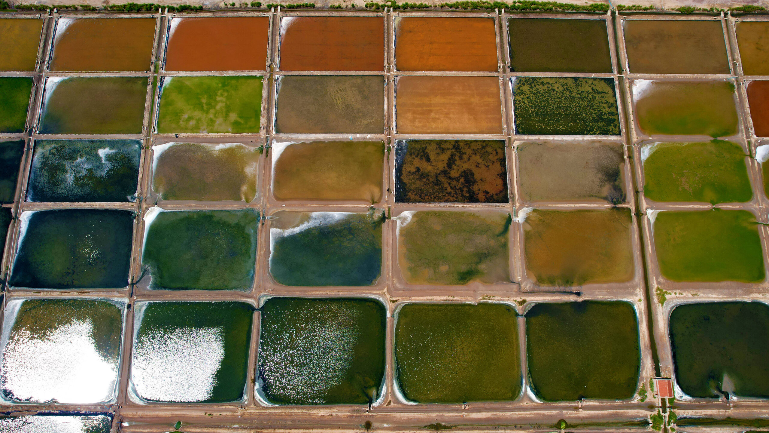 Un grand marché énergétique européen | Le Grand Continent