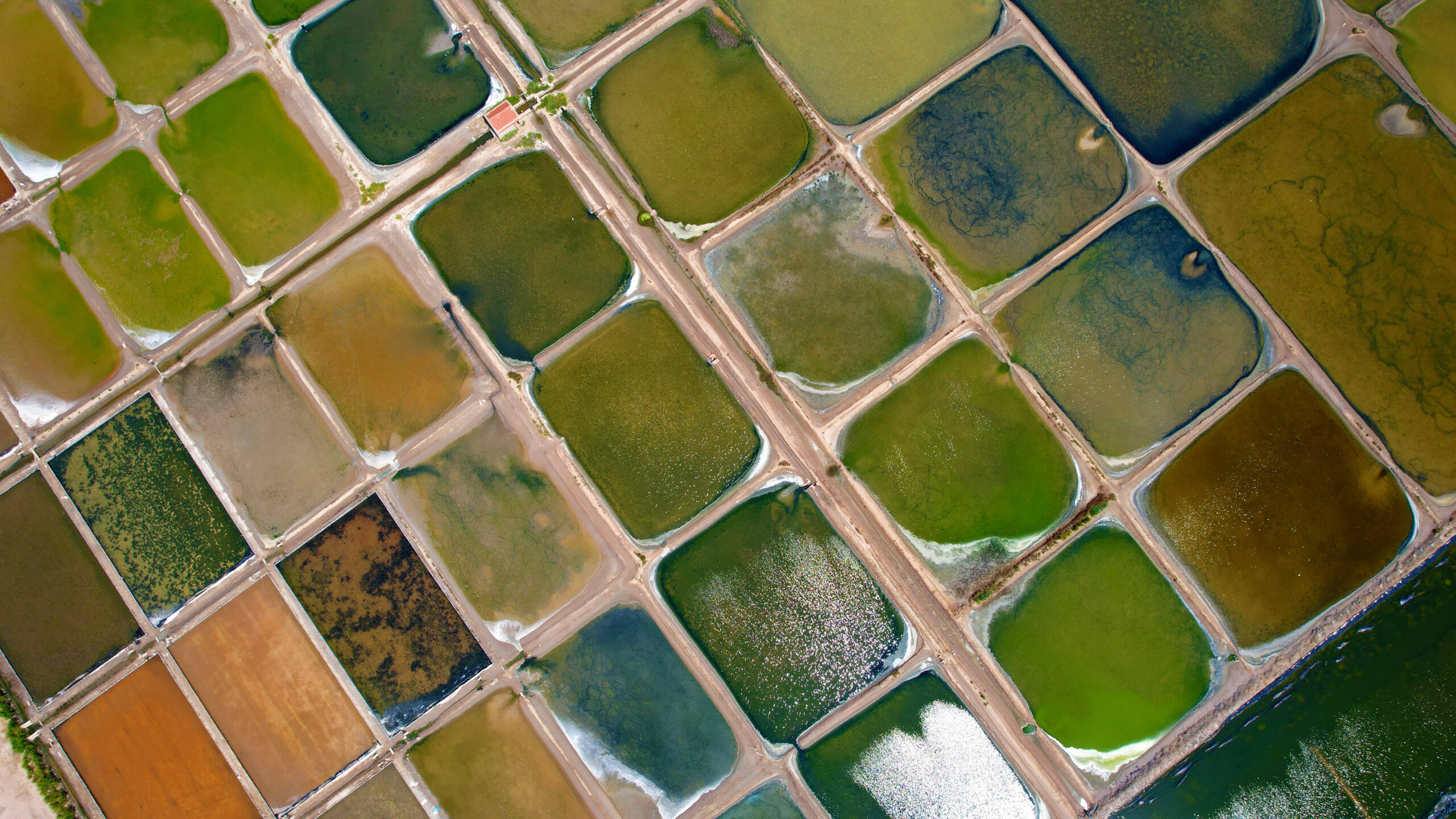 Un grand marché énergétique européen | Le Grand Continent