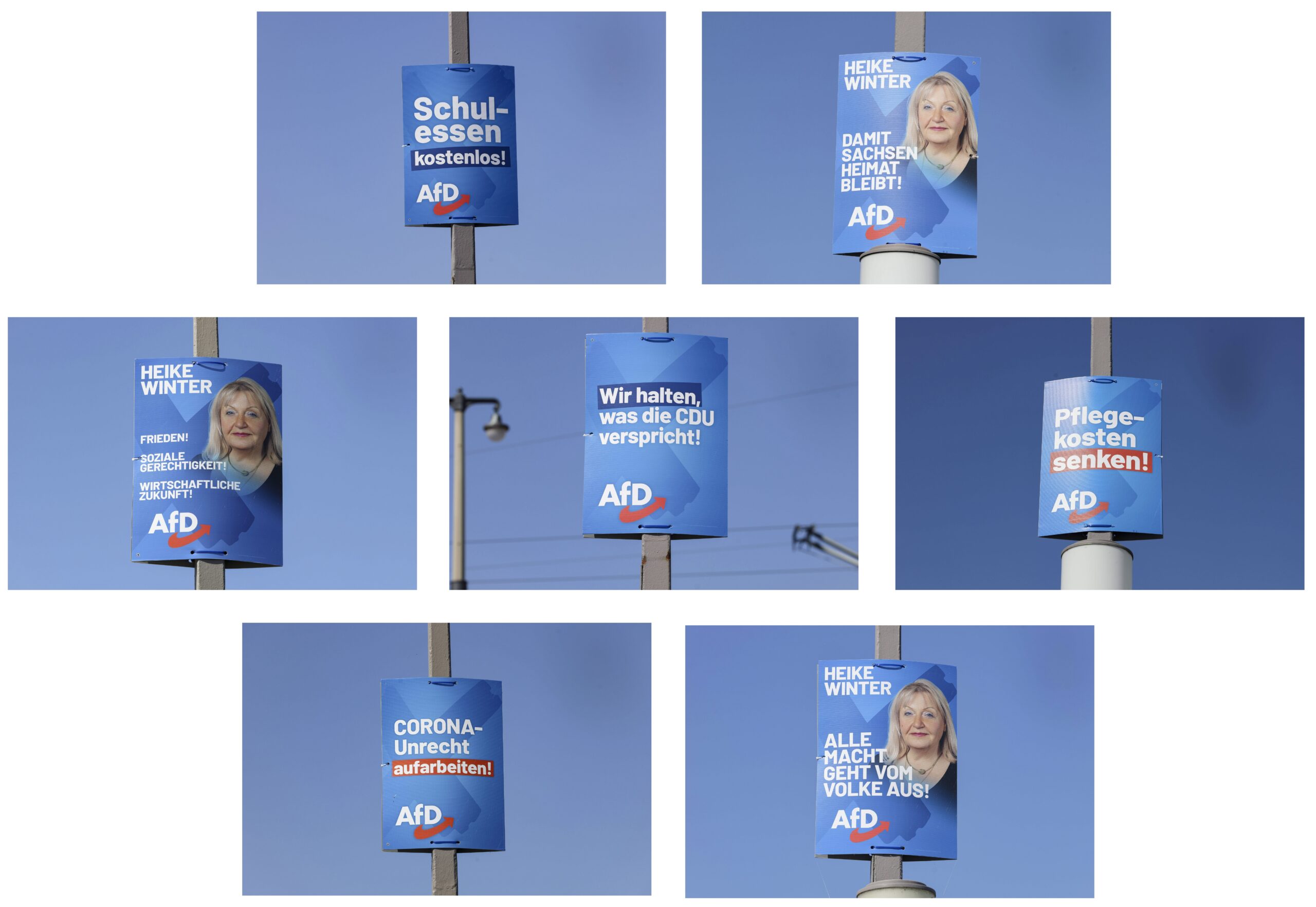 AfD : les affiches de la haine | Le Grand Continent